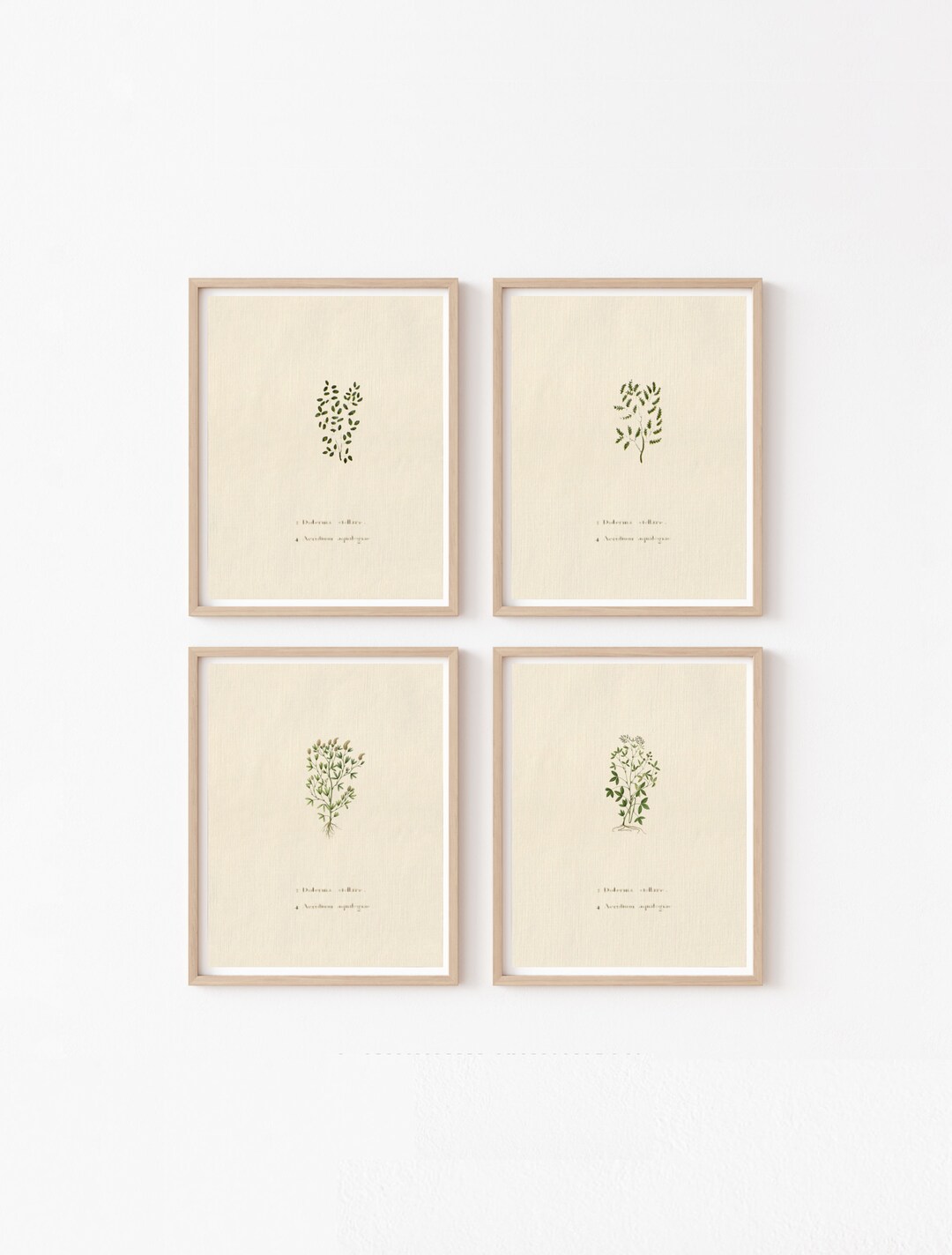 Antique Neutral Floral Print SET of 4 Vintage Muted Art Digital ...