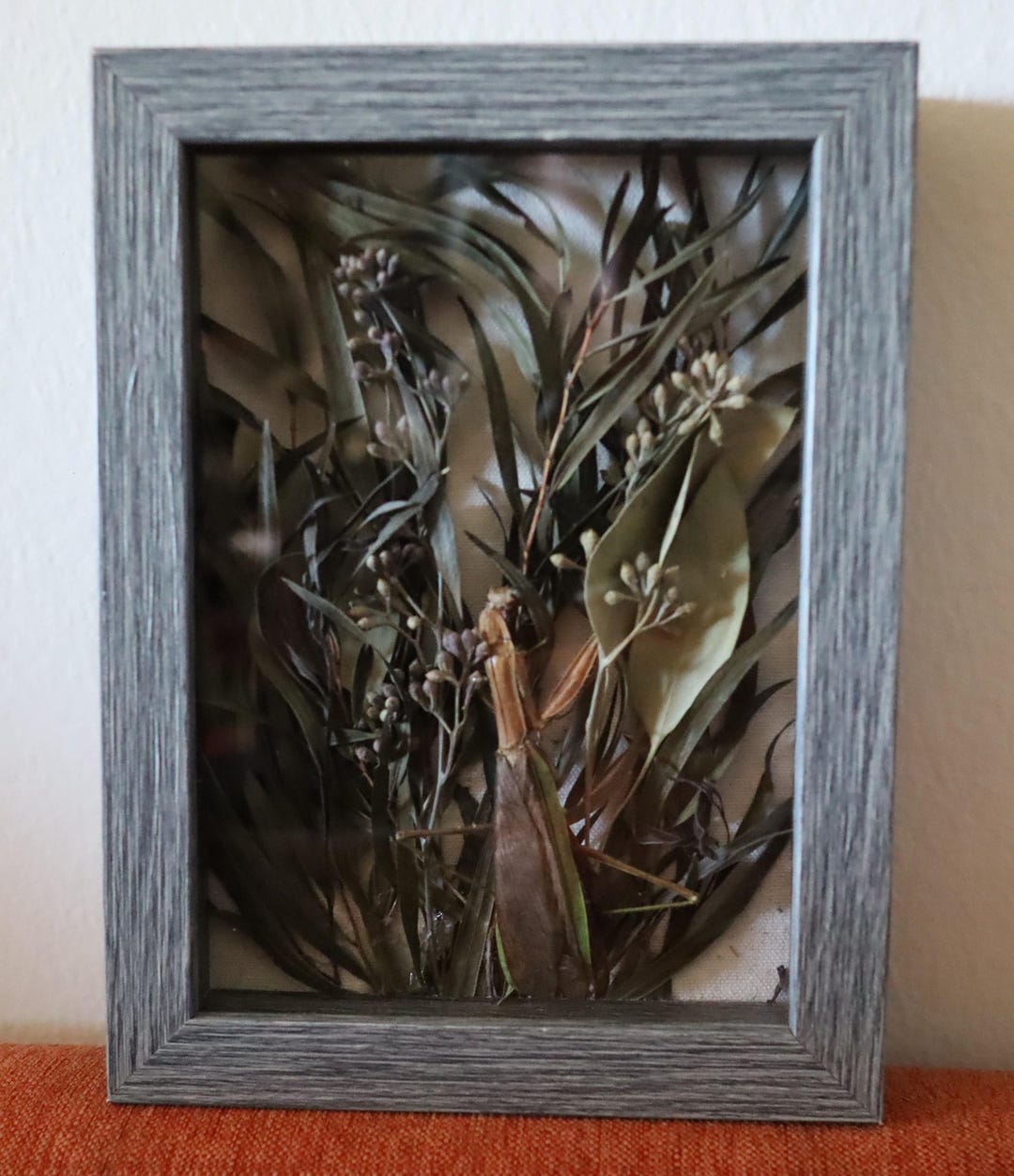 Dried Greens, Praying Mantis Gothic Botanical Display - Etsy