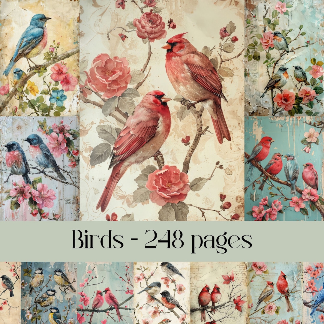 Birds & Flowers Digital Paper: Shabby Chic Scrapbook Pages (digital ...