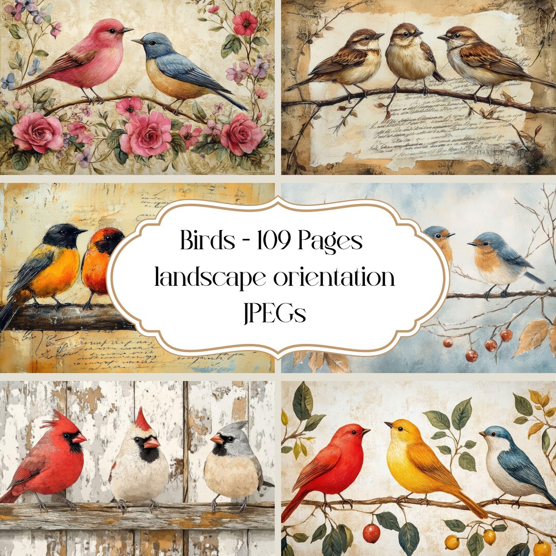 Bird Scrapbook Paper: Shabby Chic Decoupage, Nature Scenes (digital ...