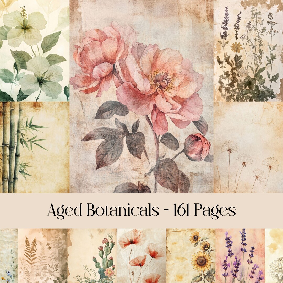 Aged Botanical Digital Paper: Vintage Floral Scrapbook (161 Pages ...