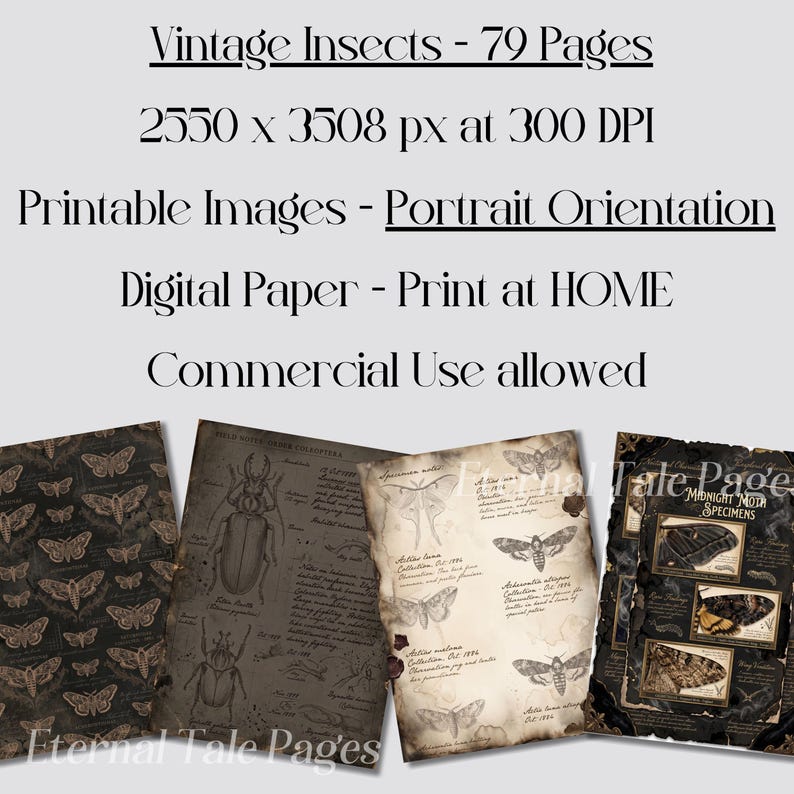 Vintage Insect Digital Paper, Entomology Scrapbook Paper, Antique ...
