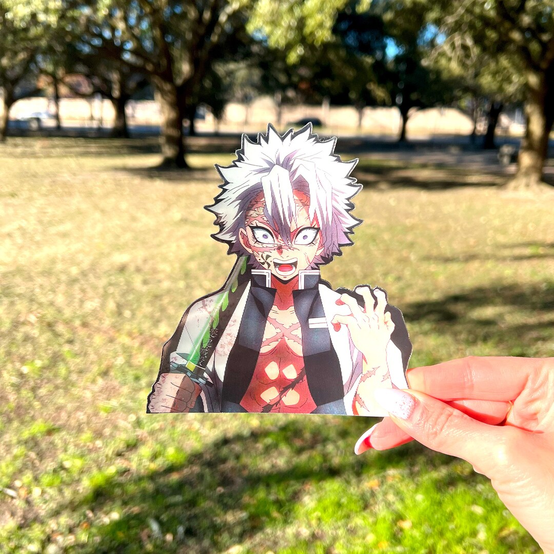 Anime Motion 3D Sticker - Etsy
