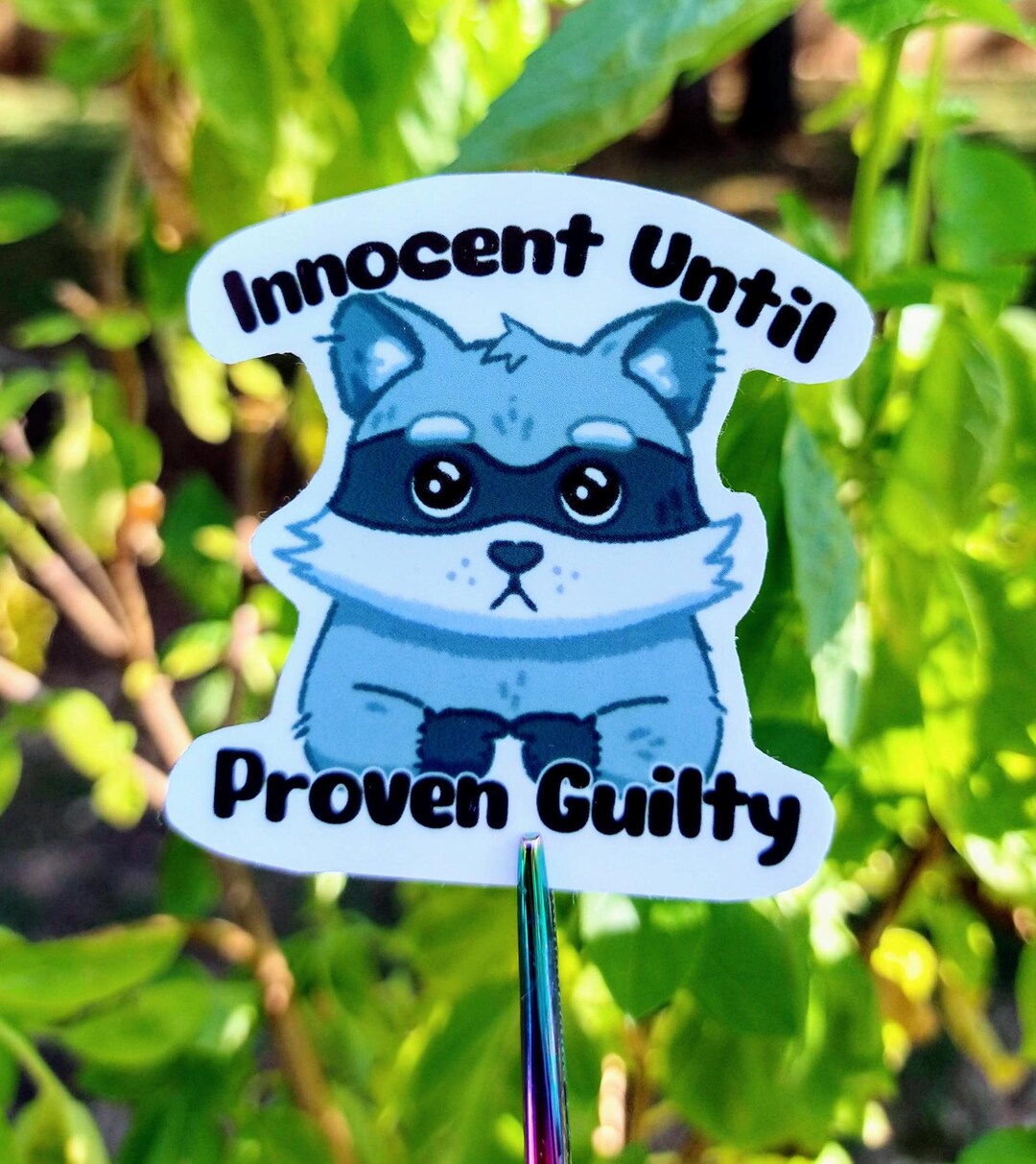 Innocent Until Proven Guilty / Raccoon Sticker / Kawaii Trash Panda ...