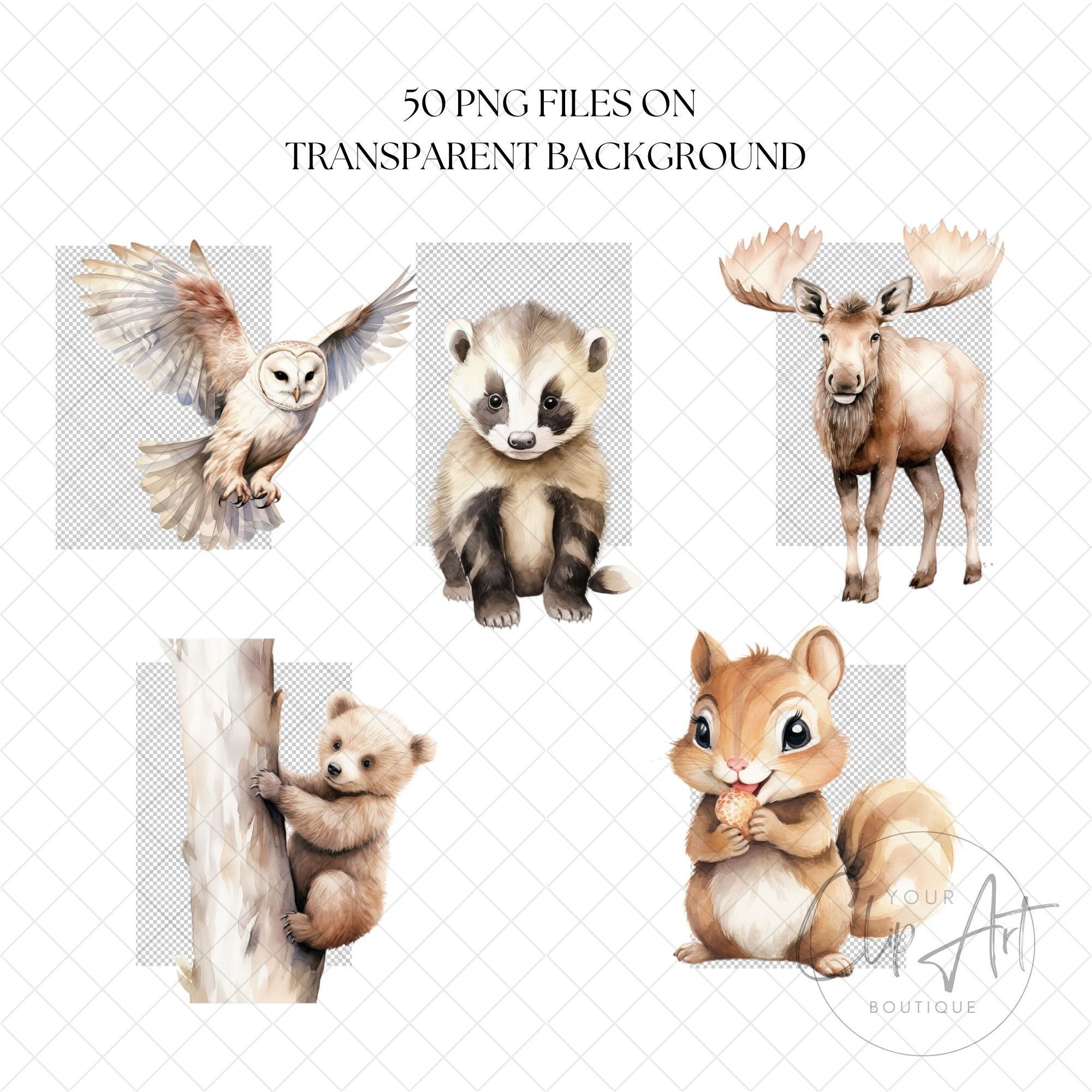 Woodland Animals Watercolor Clipart, 50 Cute Forest Animals Bundle Png ...
