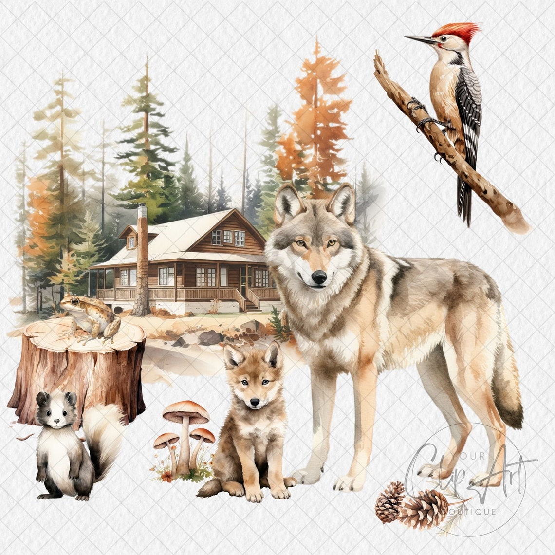 Woodland Animals Watercolor Clipart, 50 Cute Forest Animals Bundle Png ...