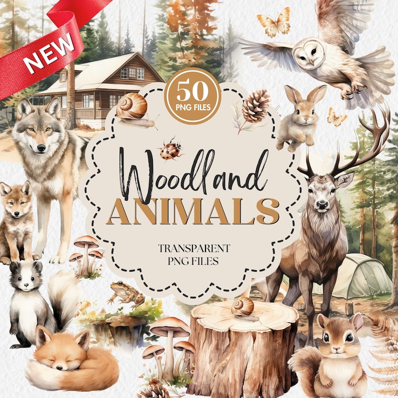 Woodland Animals Watercolor Clipart, 50 Cute Forest Animals Bundle Png ...