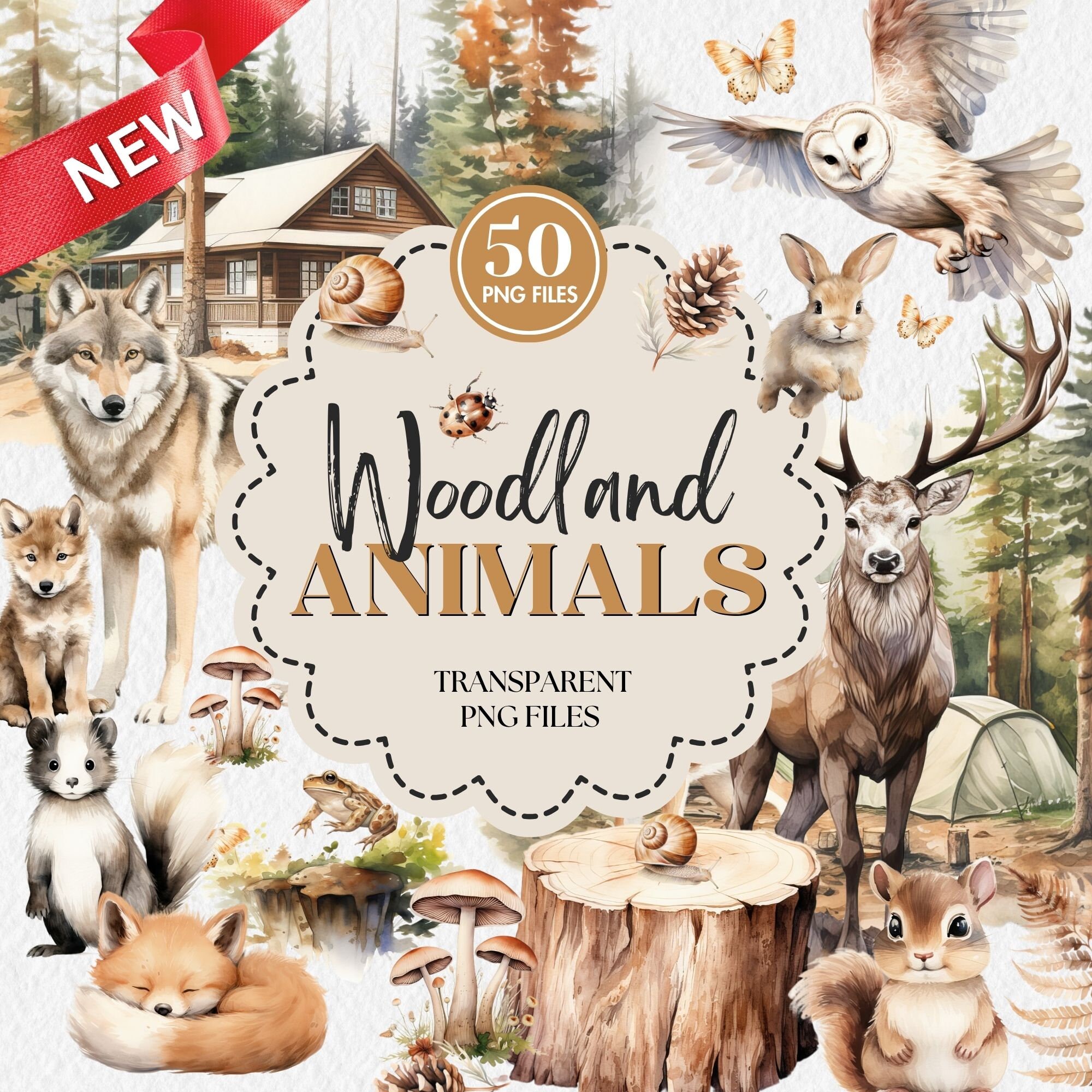 Woodland Animals Watercolor Clipart, 50 Cute Forest Animals Bundle Png ...