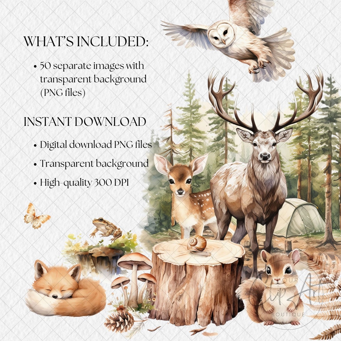 Woodland Animals Watercolor Clipart, 50 Cute Forest Animals Bundle Png ...