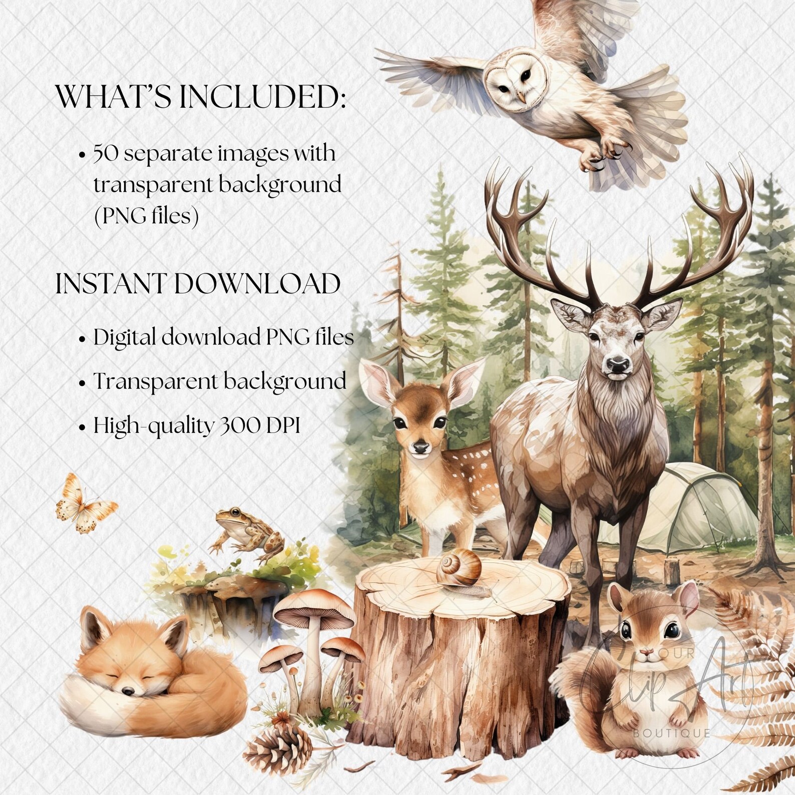 Woodland Animals Watercolor Clipart, 50 Cute Forest Animals Bundle Png ...
