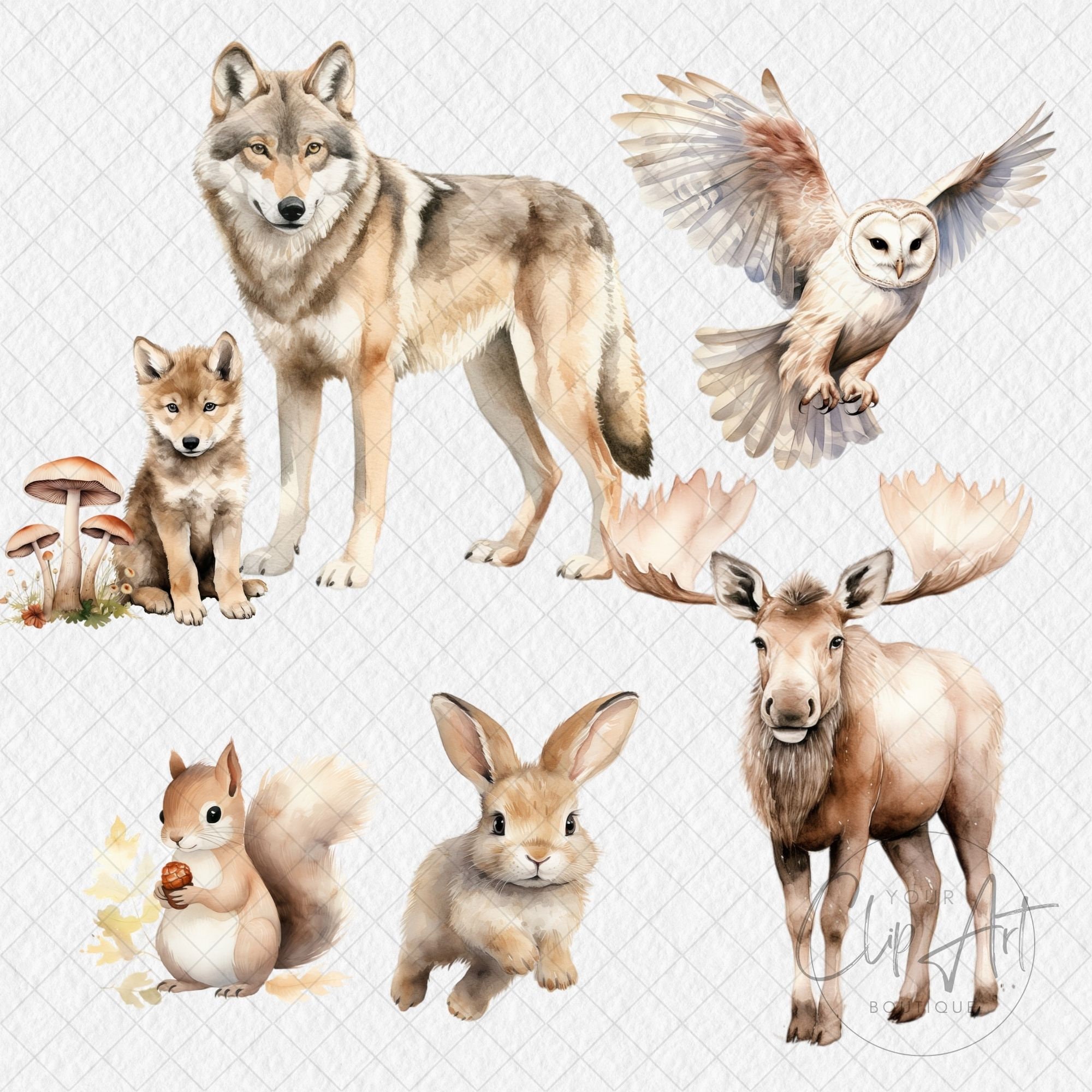 Woodland Animals Watercolor Clipart, 50 Cute Forest Animals Bundle Png ...