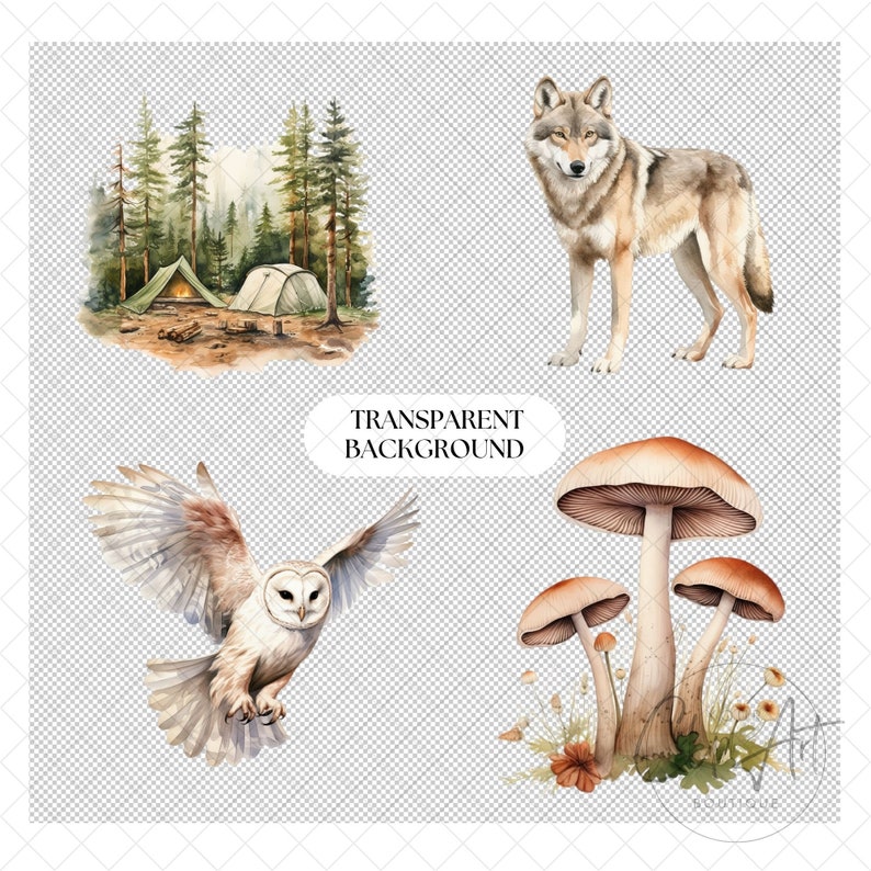 Woodland Animals Watercolor Clipart, 50 Cute Forest Animals Bundle Png ...