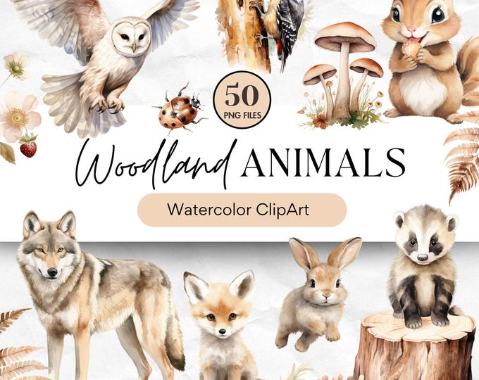 Woodland Animals Watercolor Clipart 50 Forest Creatures PNG Bundle ...