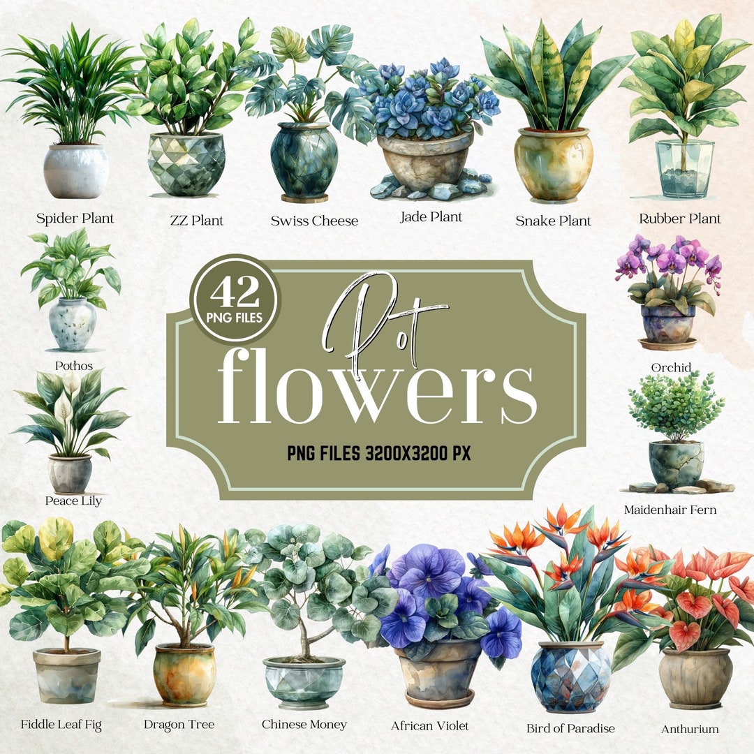 Printable Botanical Flower Pots Clipart Floral Pot PNG for Wall Art and ...
