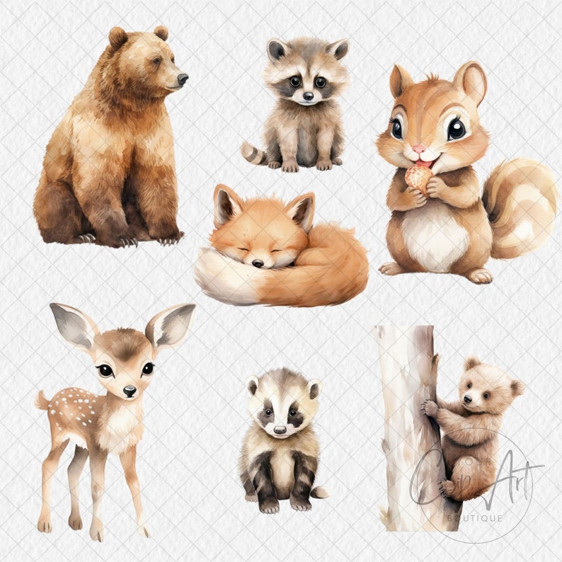 Woodland Animals Watercolor Clipart, 50 Cute Forest Animals Bundle Png ...
