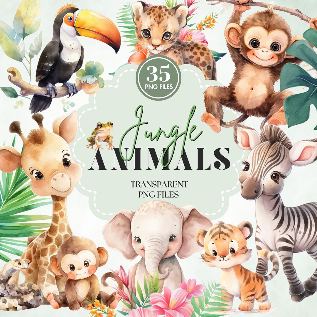Lindos animales de la selva Clipart / Safari Nursery PNG / Acuarela ...