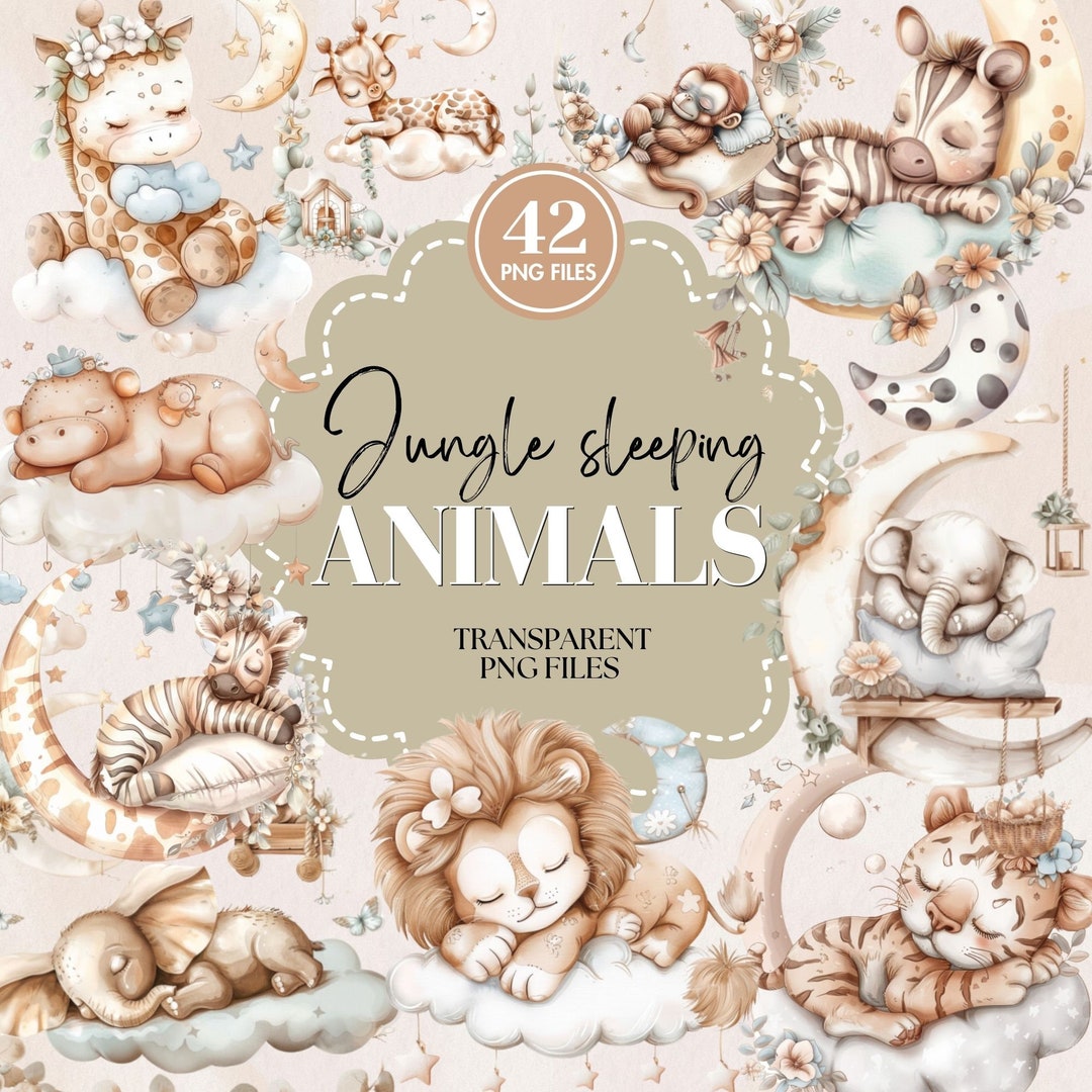 Cute Sleeping Jungle Animals PNG Baby Shower Digital Download Sleepy ...