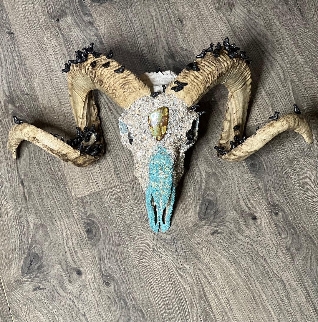 Ram Skull Encrusted With Turquoise and Abalone - Etsy