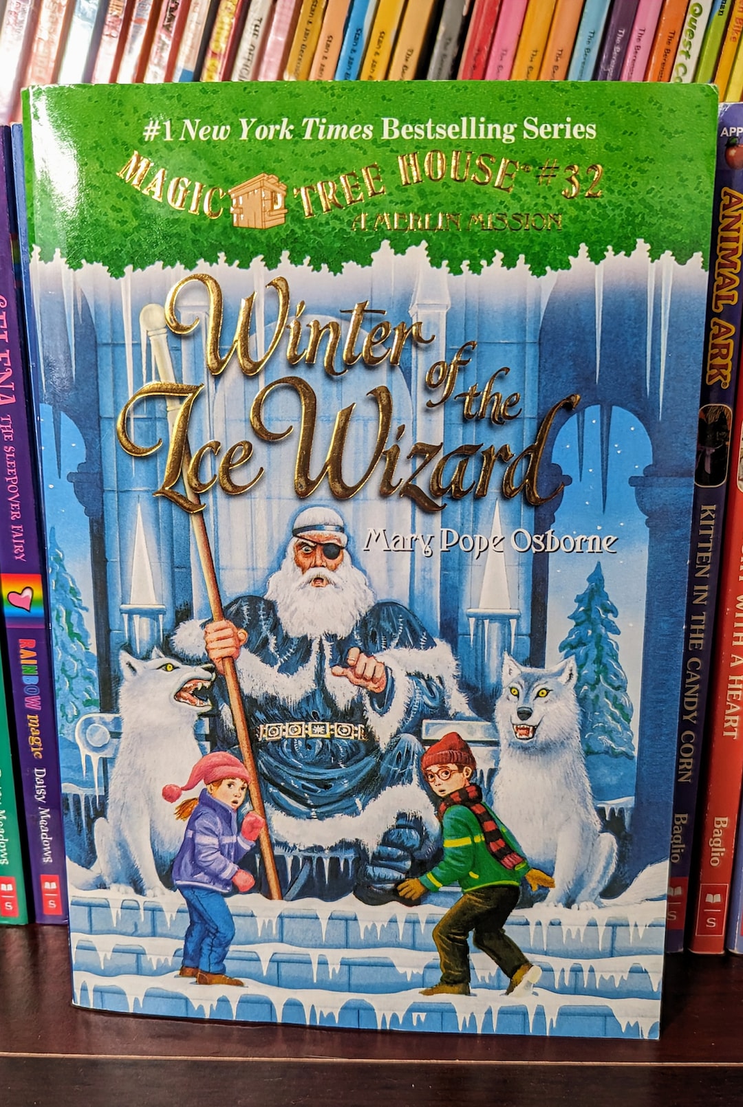 2004 | Magic Tree House: Winter of the Ice Wizard - Etsy