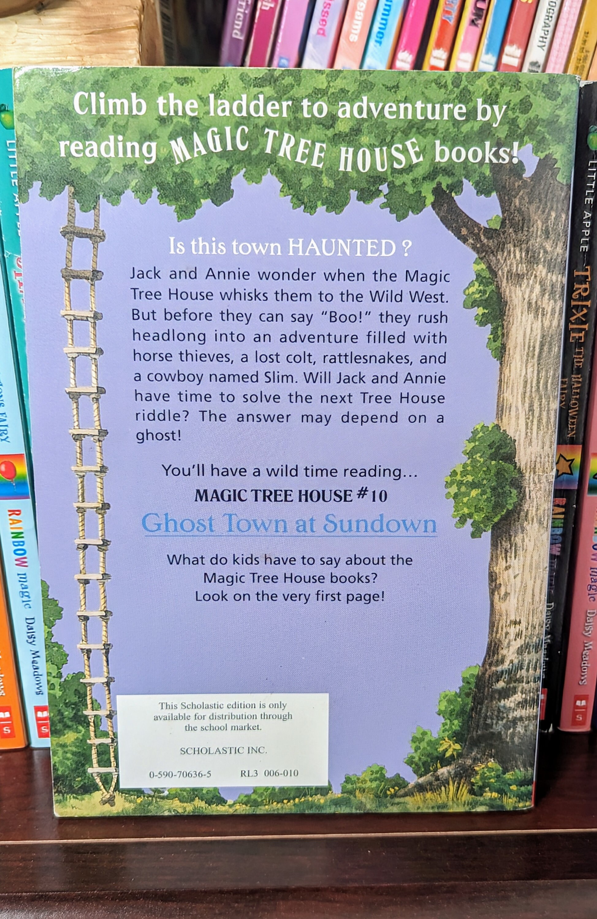 1997 | Magic Tree House: Ghost Town at Sundown - Etsy