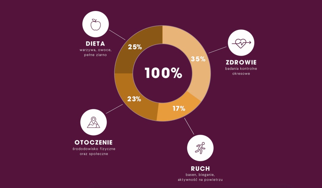 Animated Charts Diagrams Visual Representation Of Data Etsy