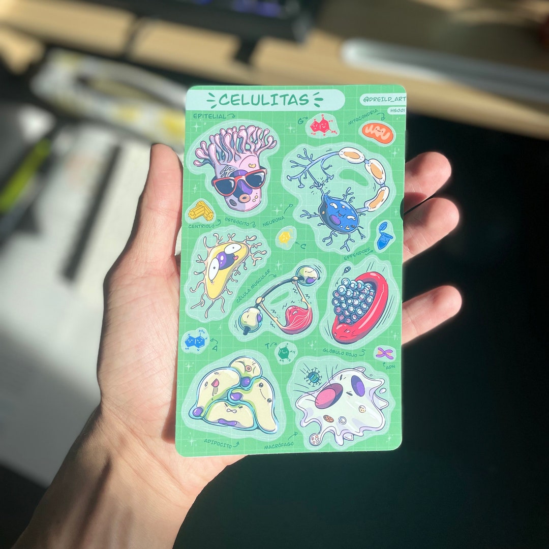 Hoja De Stickers De Células / Cell Sticker Sheet / Biology - Etsy