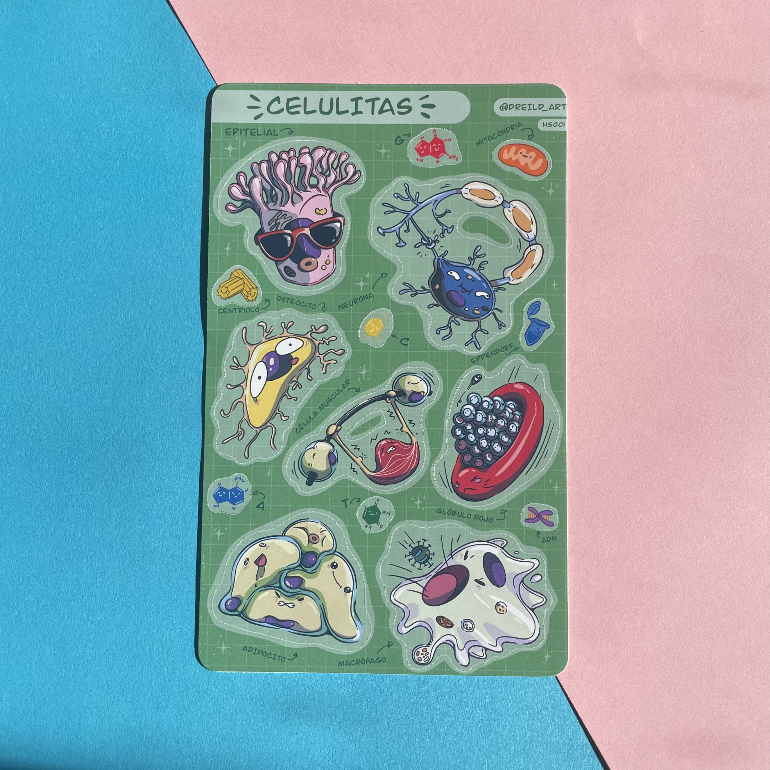 Hoja De Stickers De Células / Cell Sticker Sheet / Biology - Etsy