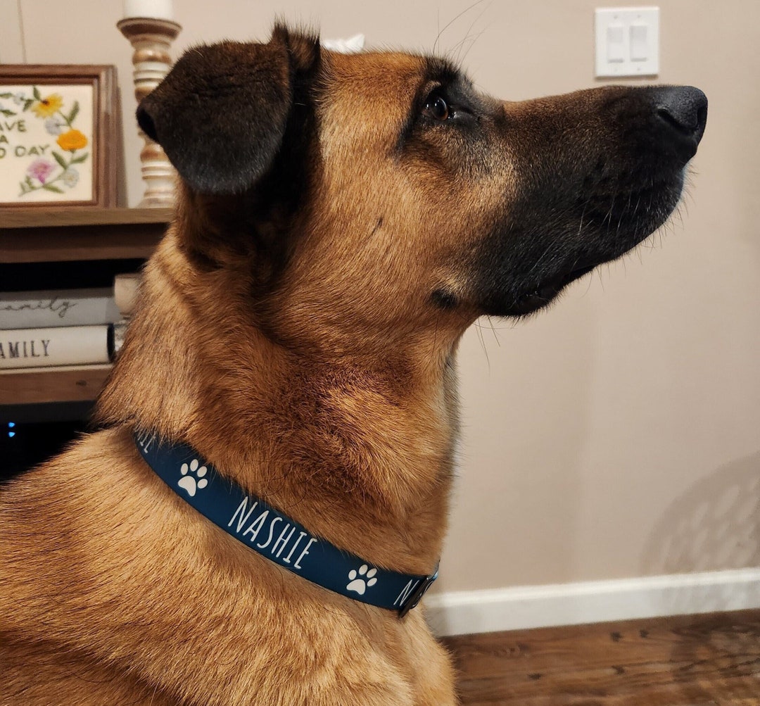 Personalized Dog Collar, Custom Dog Collar, Gift for Dog, Customized ...