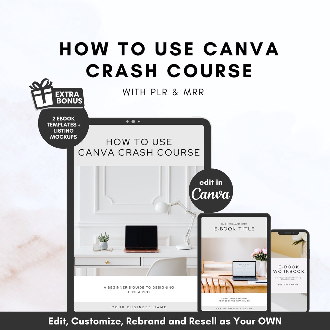 How to Use Canva Basics Bundle With PLR & MRR | Done for You (dfy ...