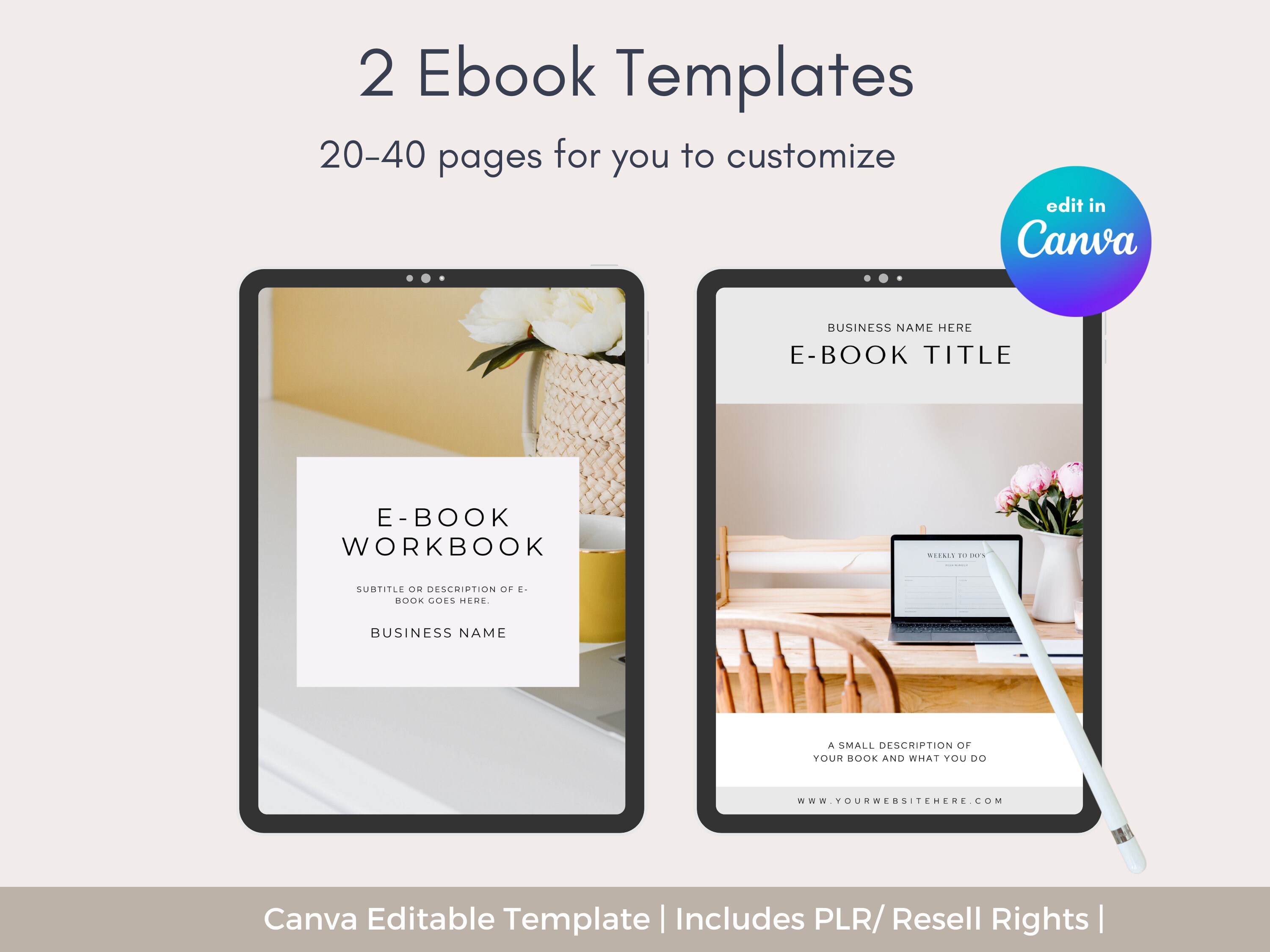 How to Use Canva Basics Bundle With PLR Learn Canva Canva Tutorial PLR Digital Products Canva ...