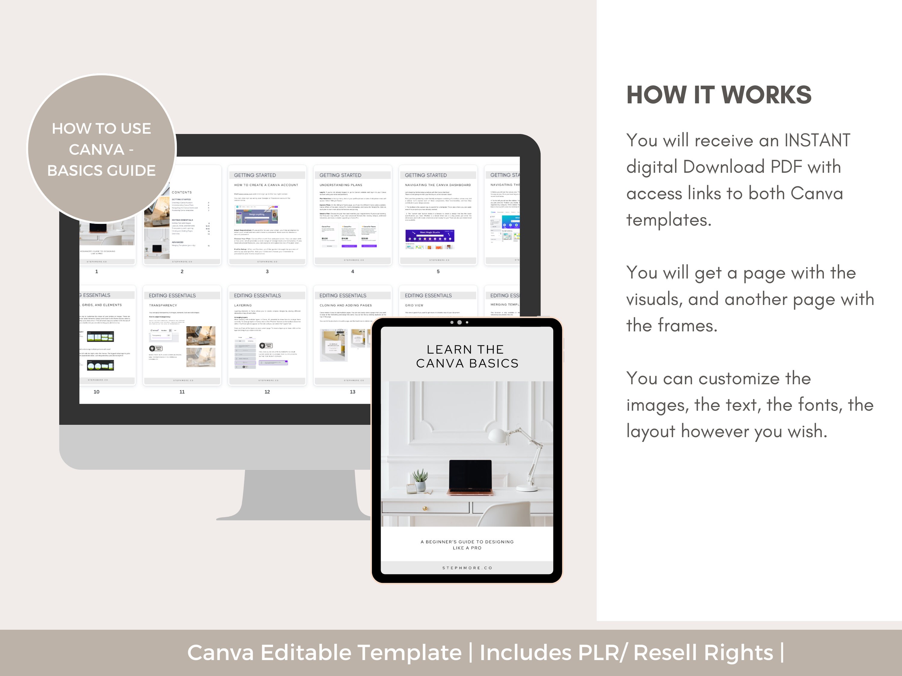 How to Use Canva Basics Bundle With PLR Learn Canva Canva Tutorial PLR Digital Products Canva ...