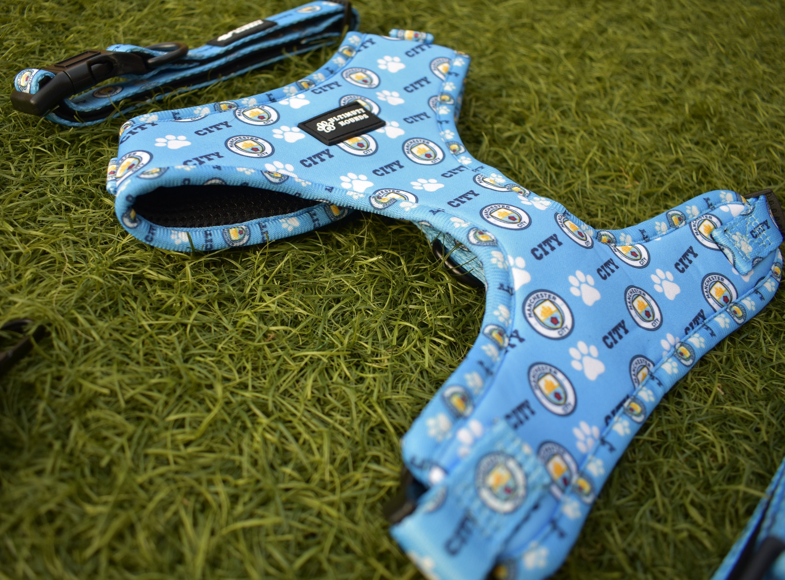 Football Dog Harness Bundle, Collar, Leash/lead, Bow Tie, Bandana, Poop ...