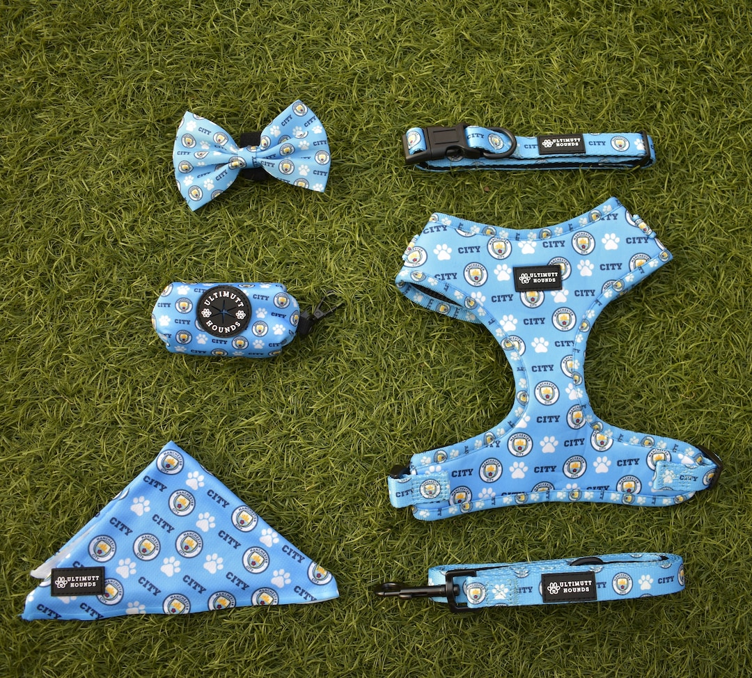 Football Dog Harness Bundle, Collar, Leash/lead, Bow Tie, Bandana, Poop ...
