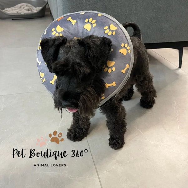 Elizabethan Collar - Etsy