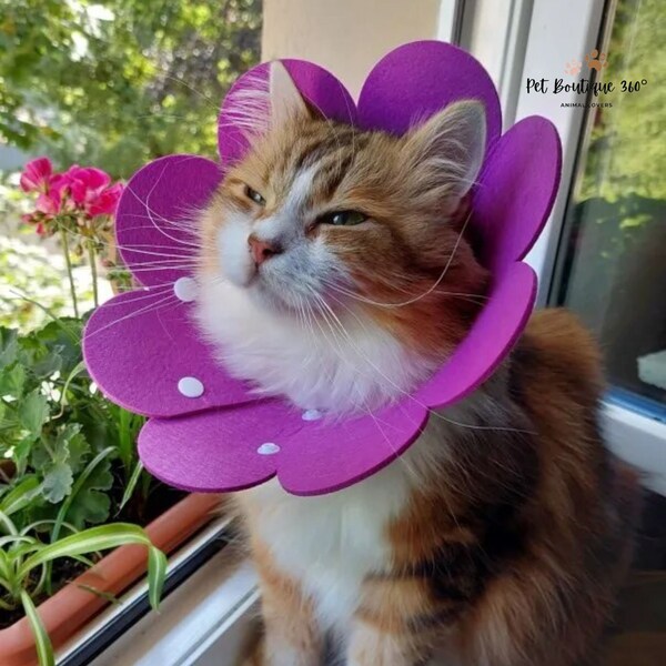 Elizabethan Collar - Etsy