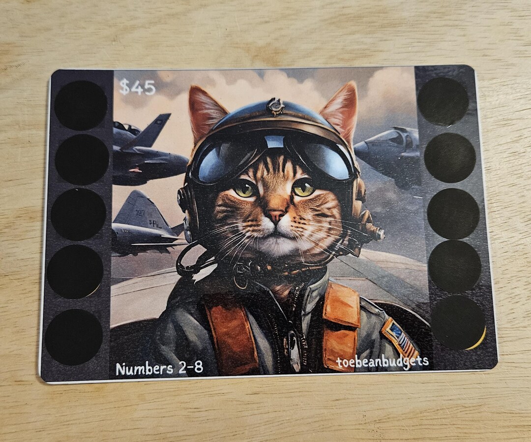 Military Fighter Jet Pilot Cat Saving Challenge - Etsy