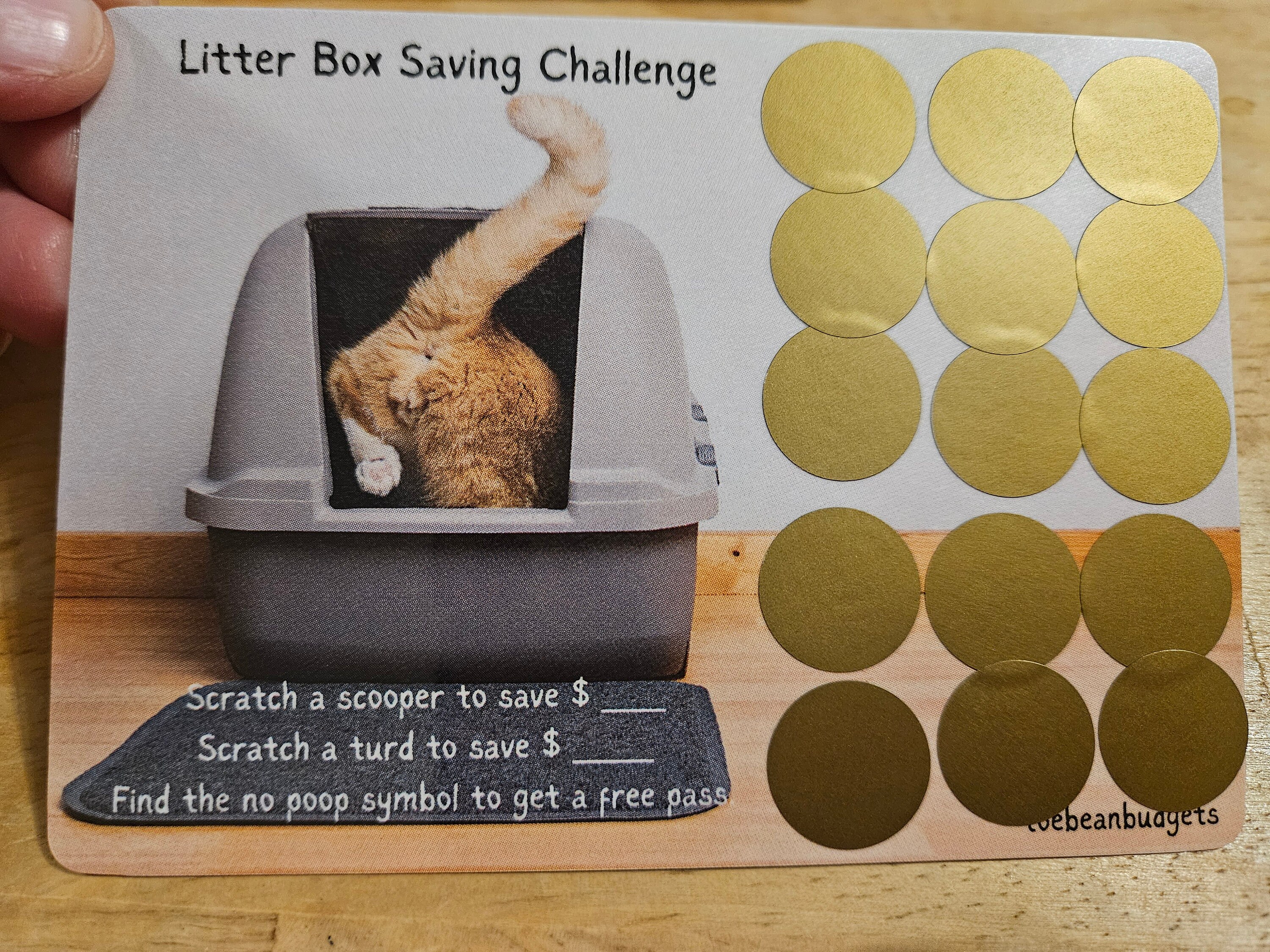 Funny Cat Litter Box Saving Challenge - Etsy