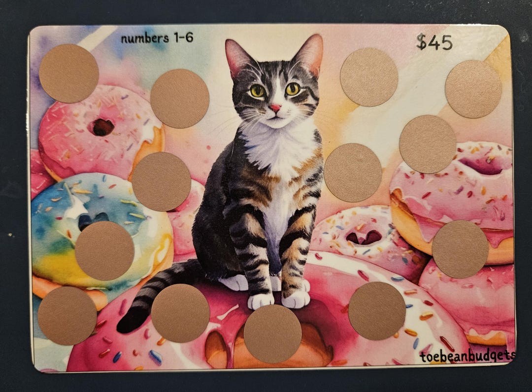Donut Cat Scratch off Saving Challenge - Etsy