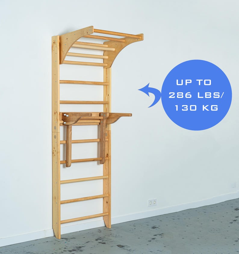 Stall Wall Bars With Mounted Adjustable Dip Bars and Pull up Bar Best ...