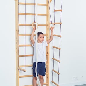 Sport Ladder With Fixed Pull-up Bar and Rope Swing Attachments for Home ...