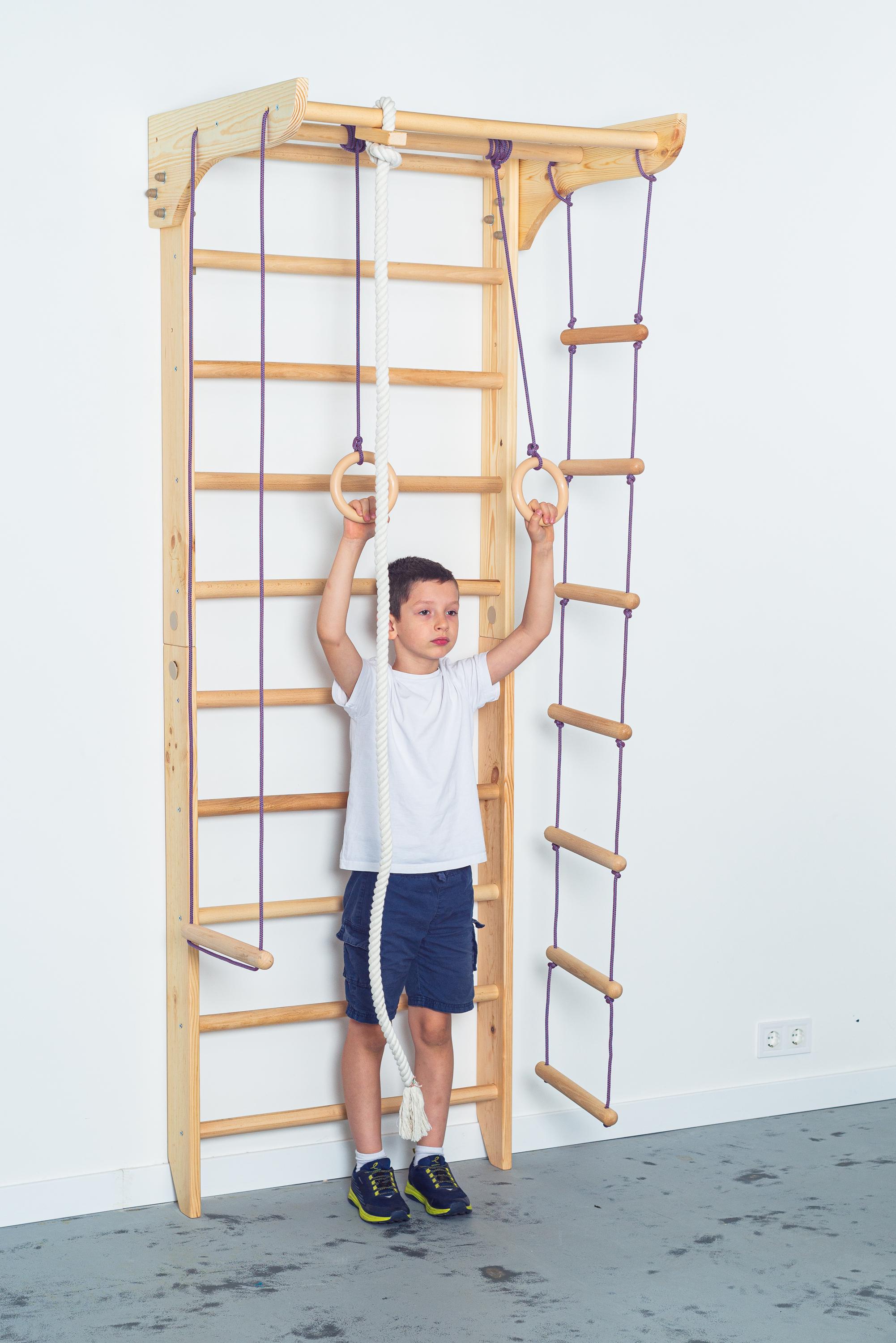 Sport Ladder With Fixed Pull-up Bar and Rope Swing Attachments for Home ...