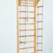 Wooden Swedish Sport Ladder With Adjustable Pull-up Bar and Rope ...