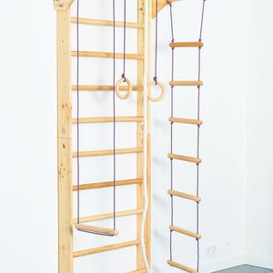 Sport Ladder With Fixed Pull-up Bar and Rope Swing Attachments for Home ...