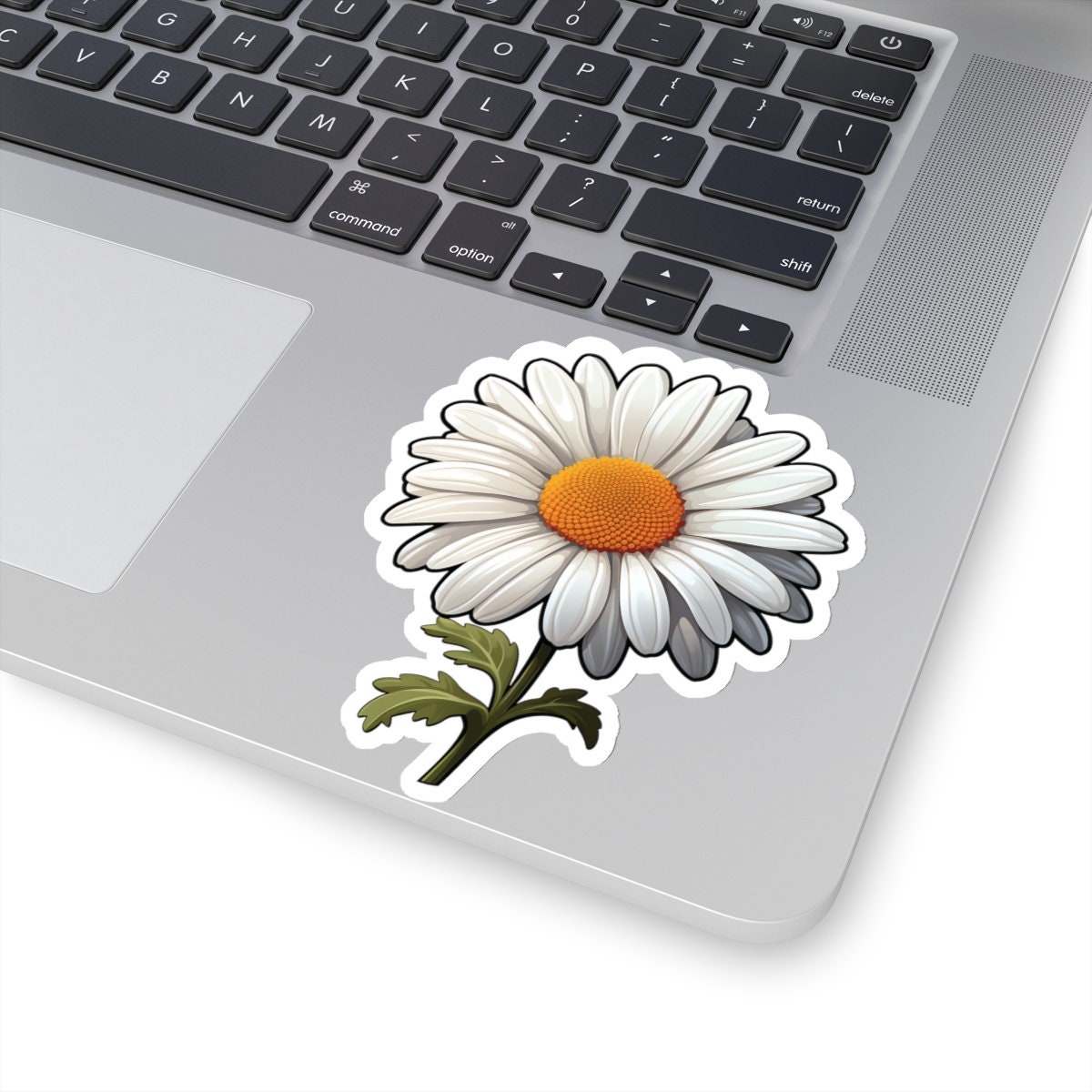 White Daisy Sticker, Flower Types, Flower Stickers, Laptop Decals ...