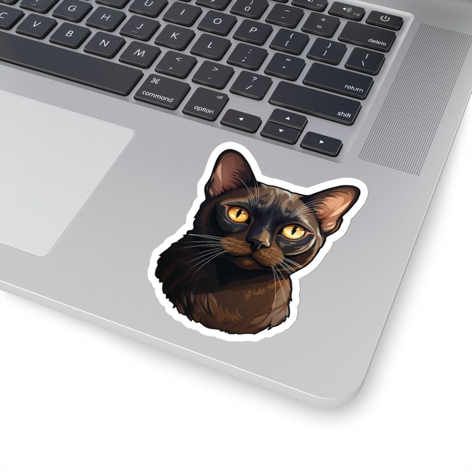Burmese Cat Sticker, Cat Breeds, Cat Stickers, Laptop Decals, Pet ...