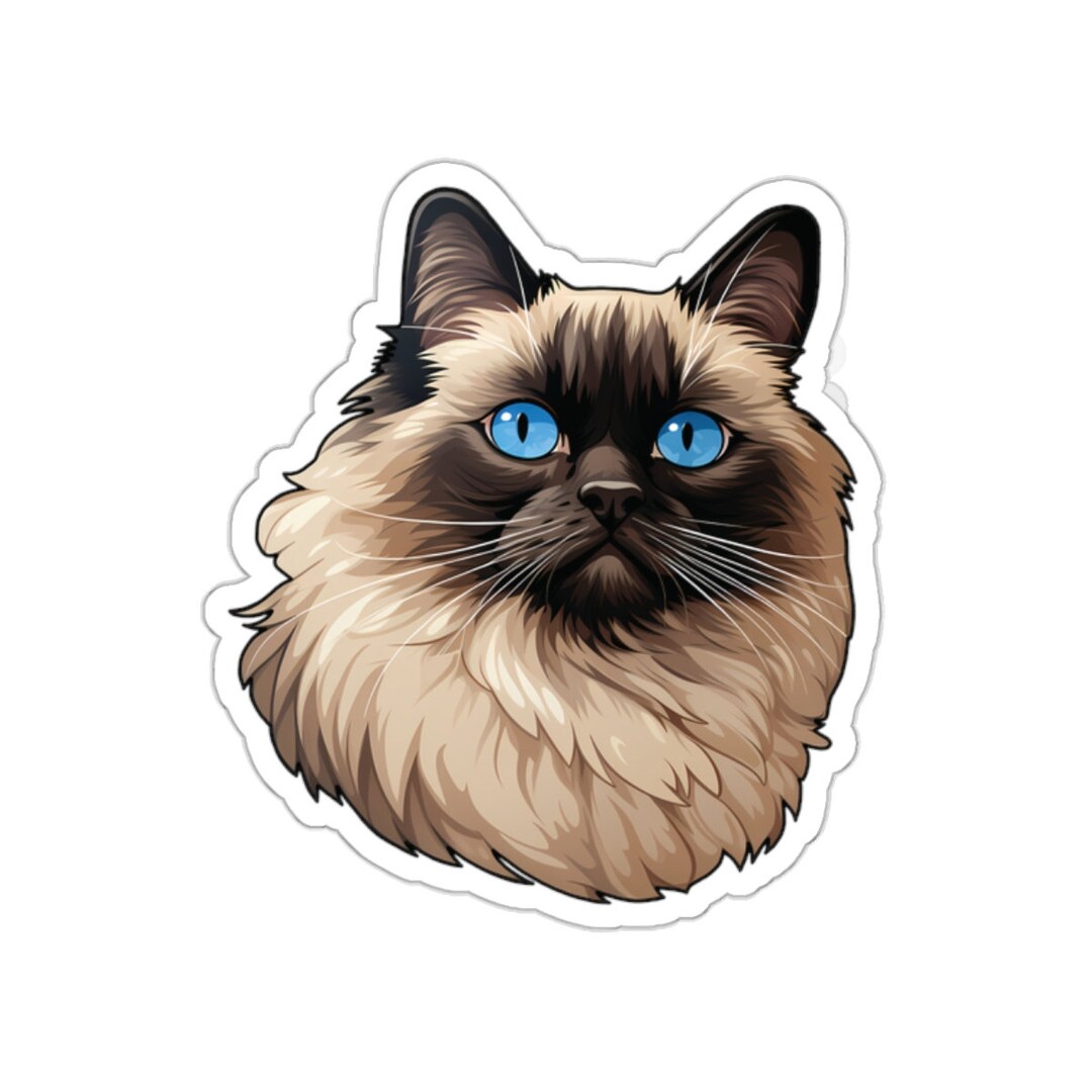 Birman Cat Sticker, Cat Breeds, Cat Stickers, Laptop Decals, Pet ...