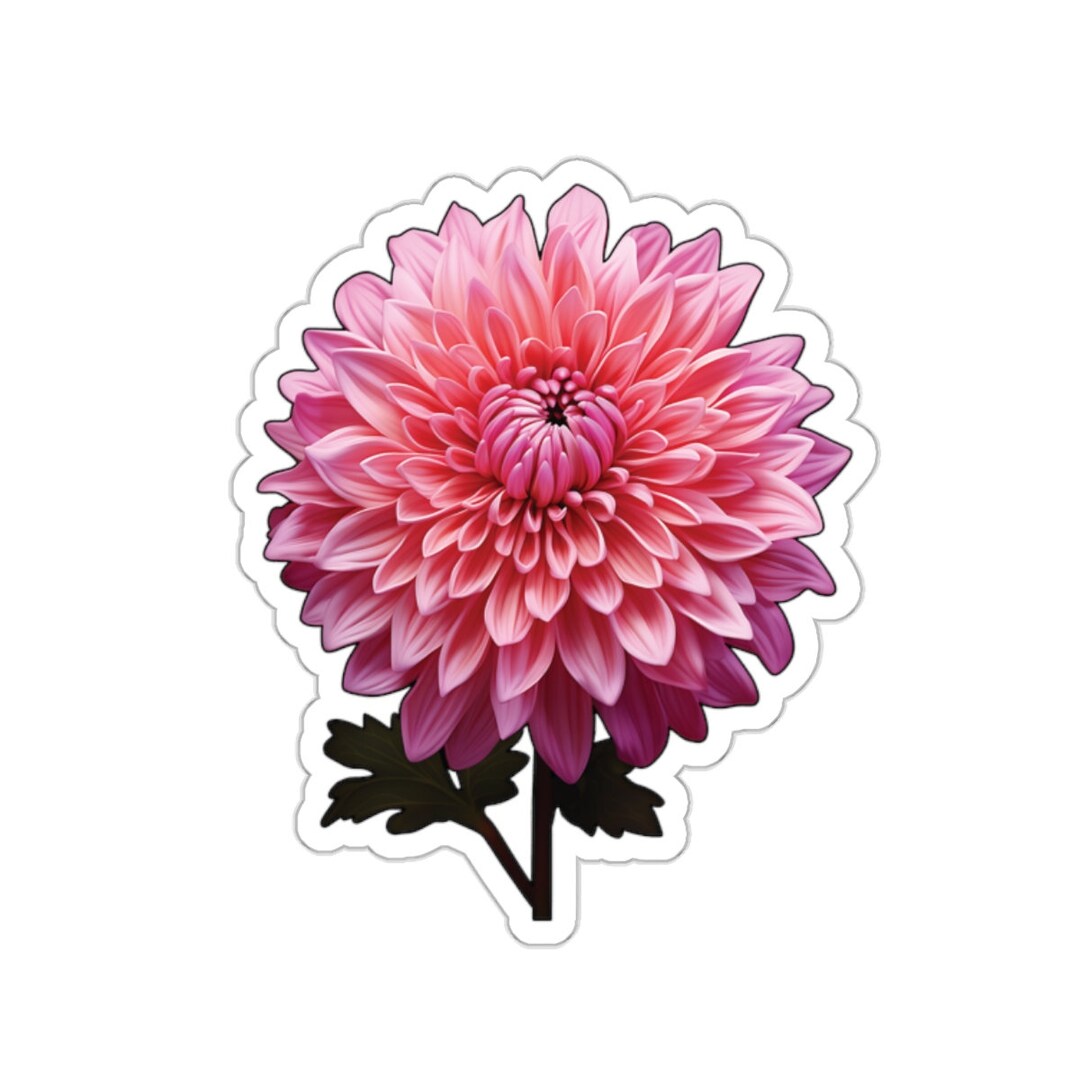 Pink Chrysanthemum Sticker, Flower Types, Flower Stickers, Laptop ...