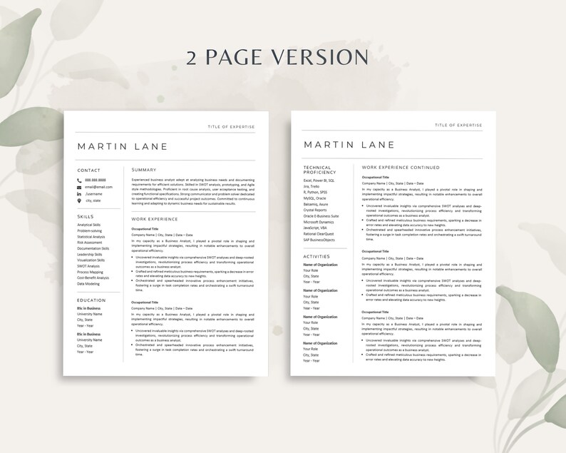 Executive Resume Template Google Docs Resume Template Word Apple Pages ...