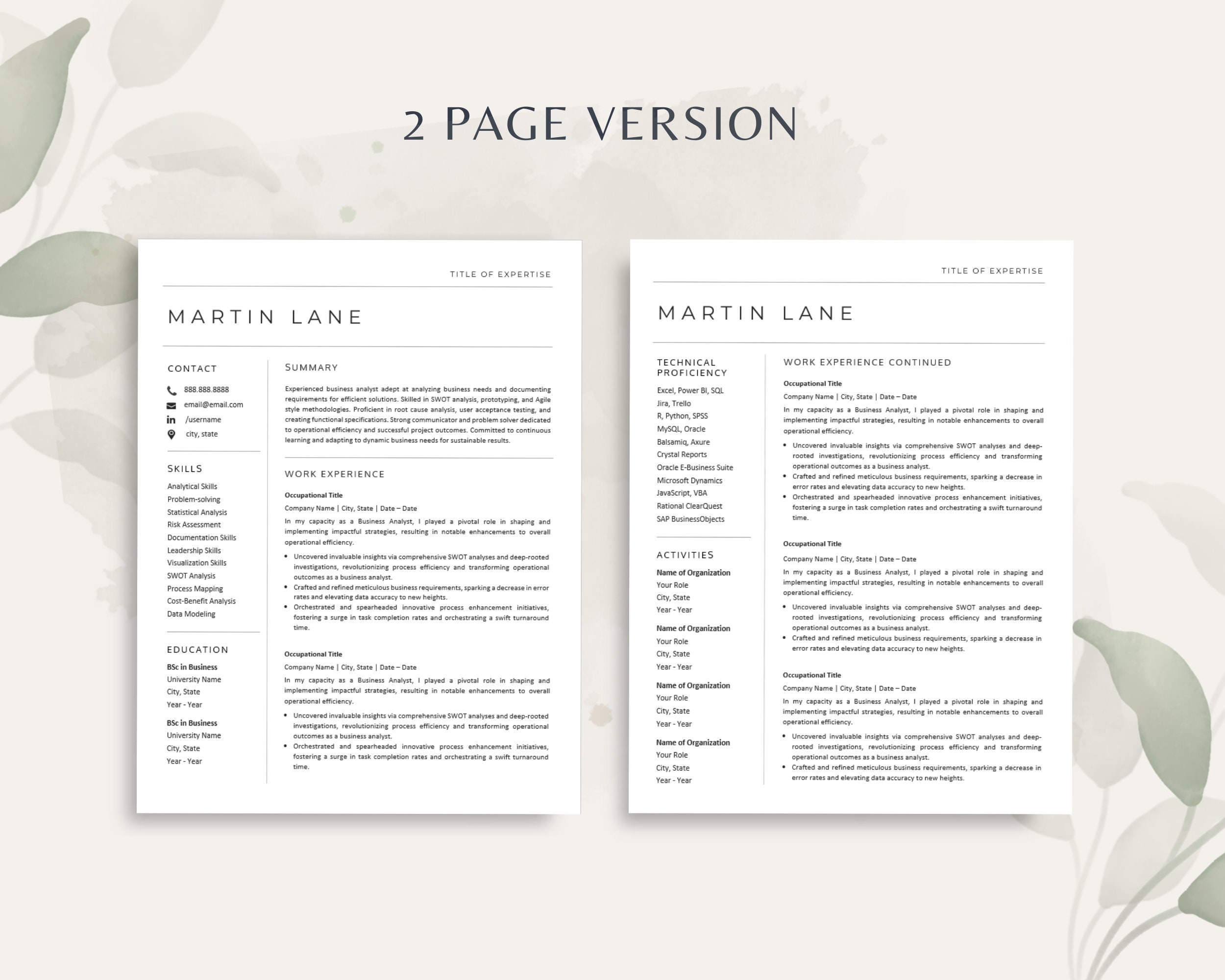 Executive Resume Template Google Docs Resume Template Word Apple Pages ...