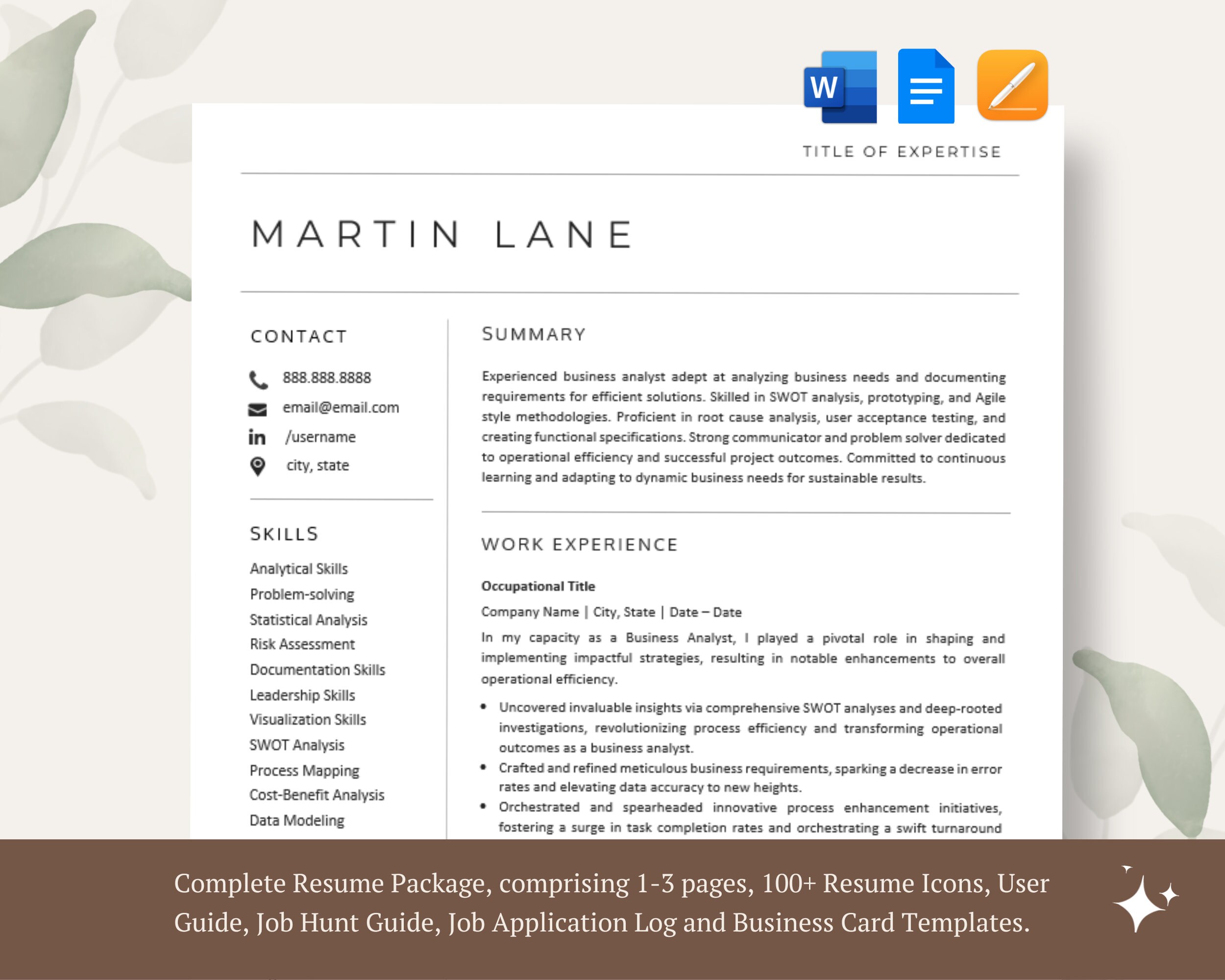 Executive Resume Template Google Docs Resume Template Word Apple Pages ...